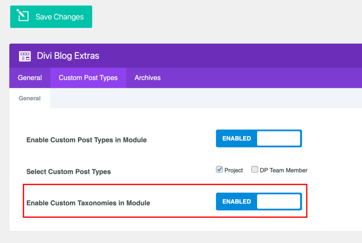 Enable tags - Divi Extended Documentation