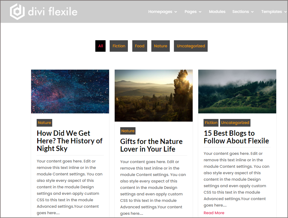 Category filter - Divi Extended Documentation