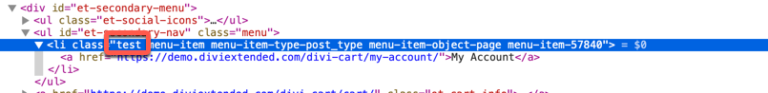 How To Add Custom Css Class To A Menu Item In Wordpress Divi Extended