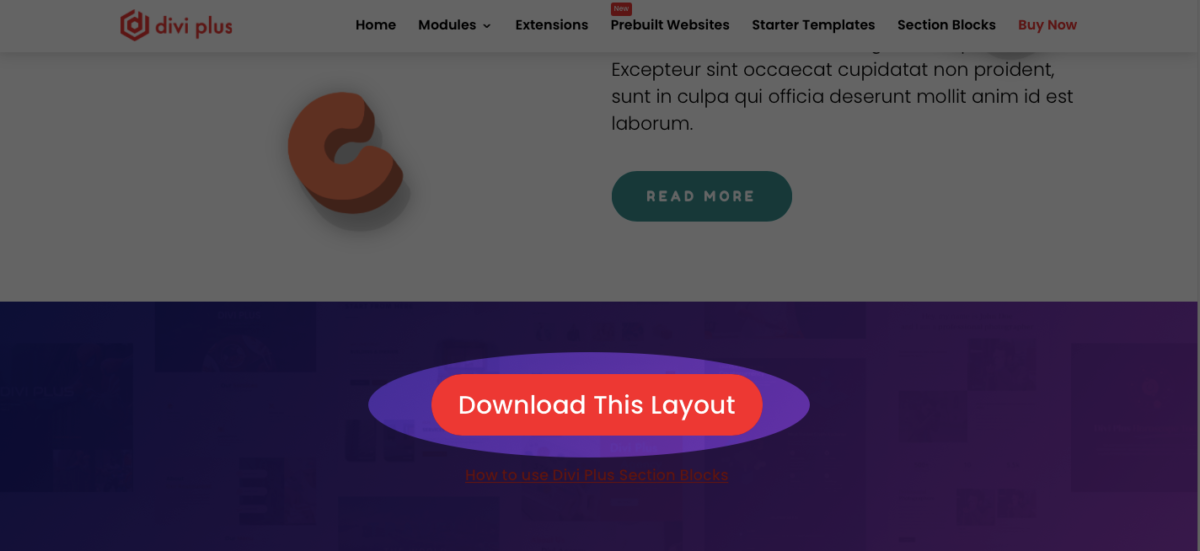 Section blocks - Divi Extended Documentation