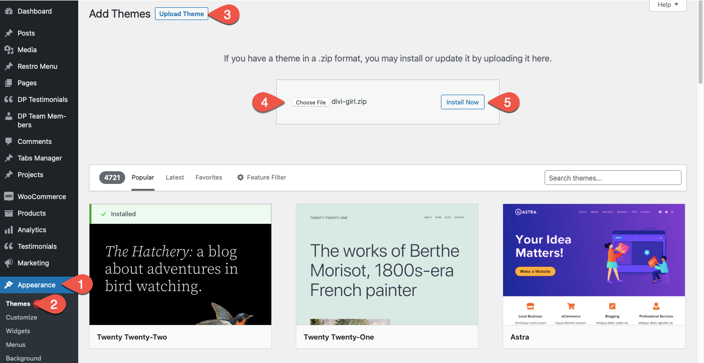 Installation - Divi Extended Documentation