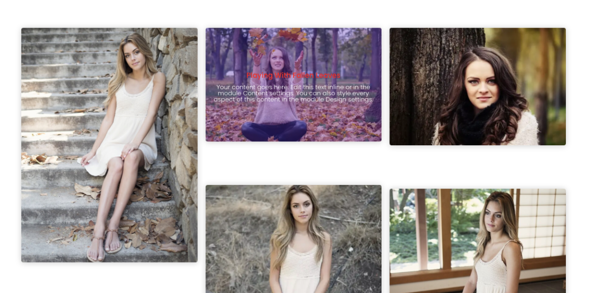 How to display title and caption on overlay in DP masonry gallery - Divi Extended Documentation