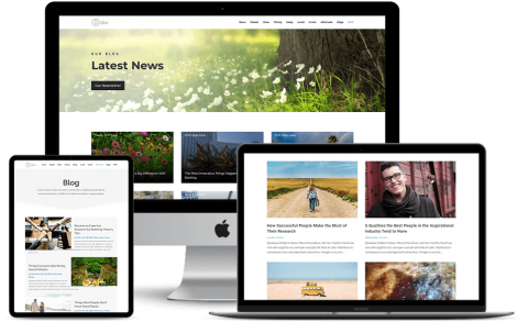 Blogy - Divi Blog Layout Pack | Blog Layout Templates for Divi Builder