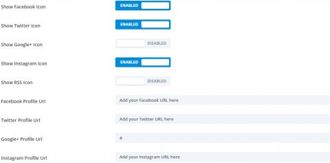 How to display and customize social media icons in Divi header and footer
