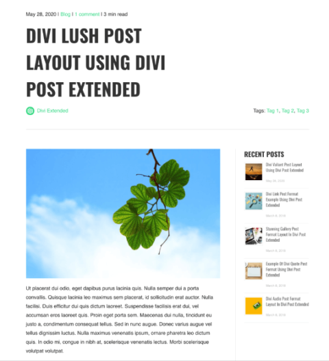 Add these 100+ cool features to your Divi theme - Divi Extended