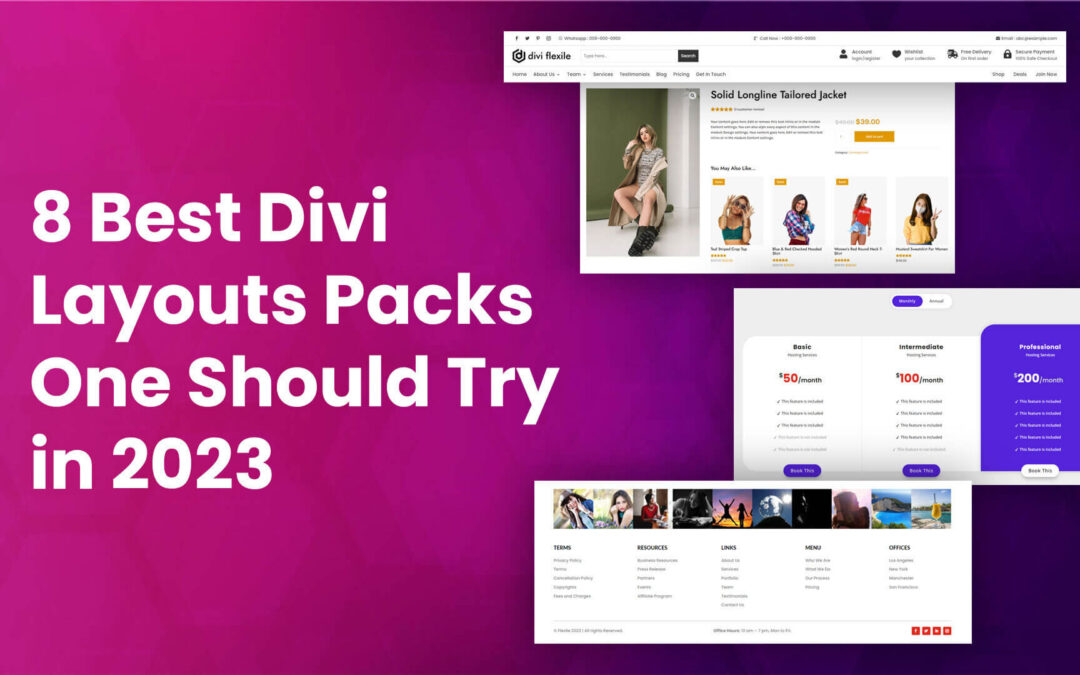Single Divi Blog Module With 7 Blog Layouts - Divi Blog Extras